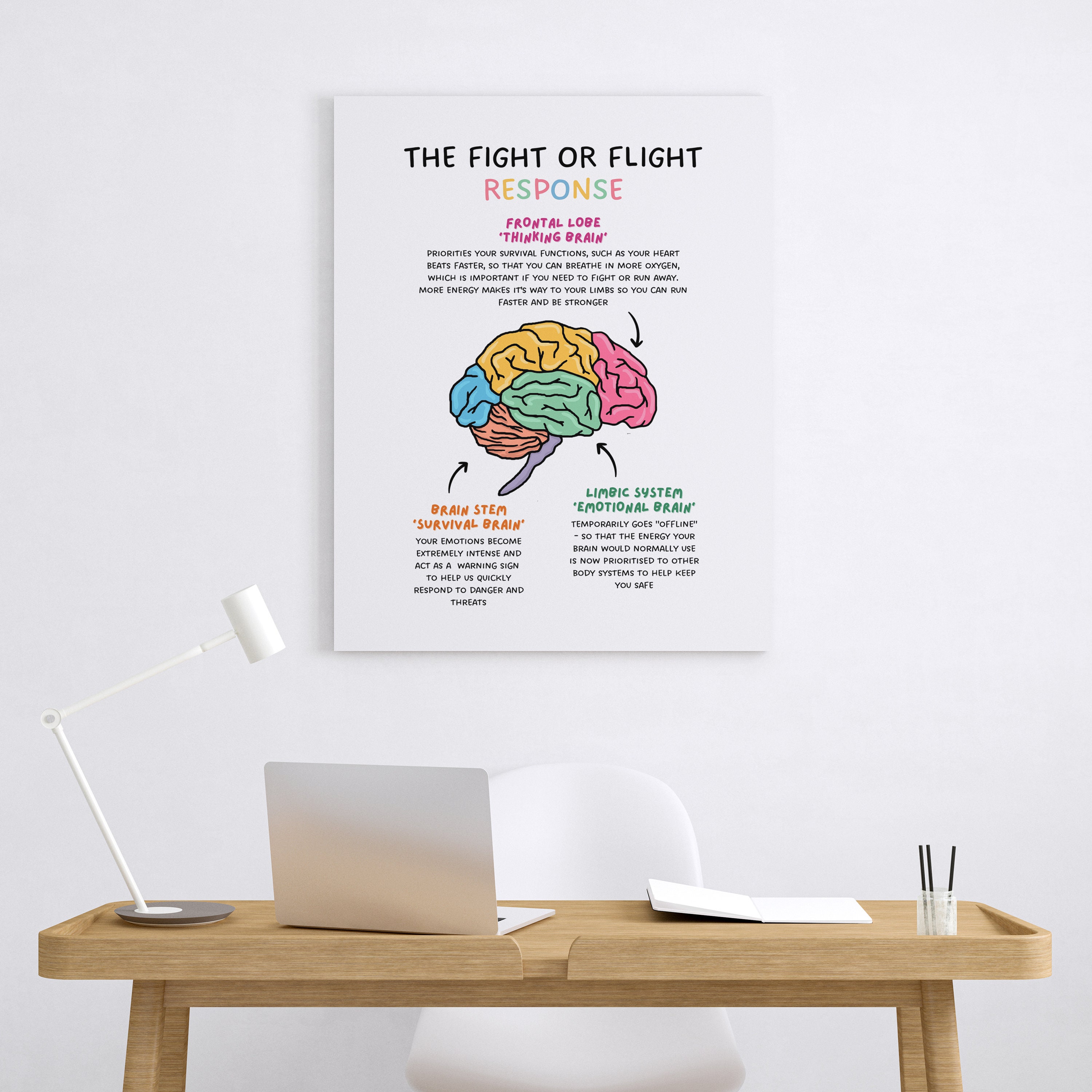 Fight or Flight Response Brain Anatomy Psychology Therapy Office Decor ...