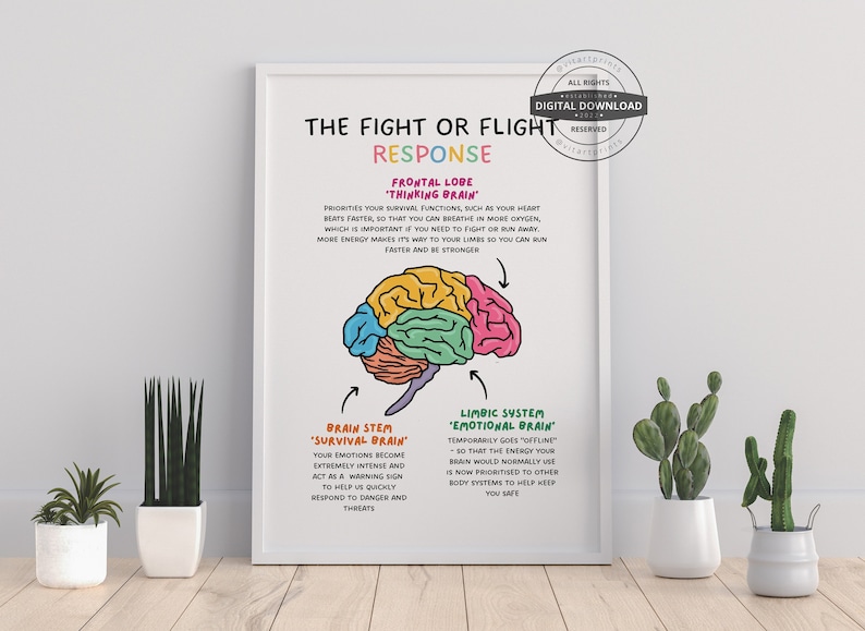 Fight or Flight Response Brain Anatomy Psychology Therapy Office Decor ...