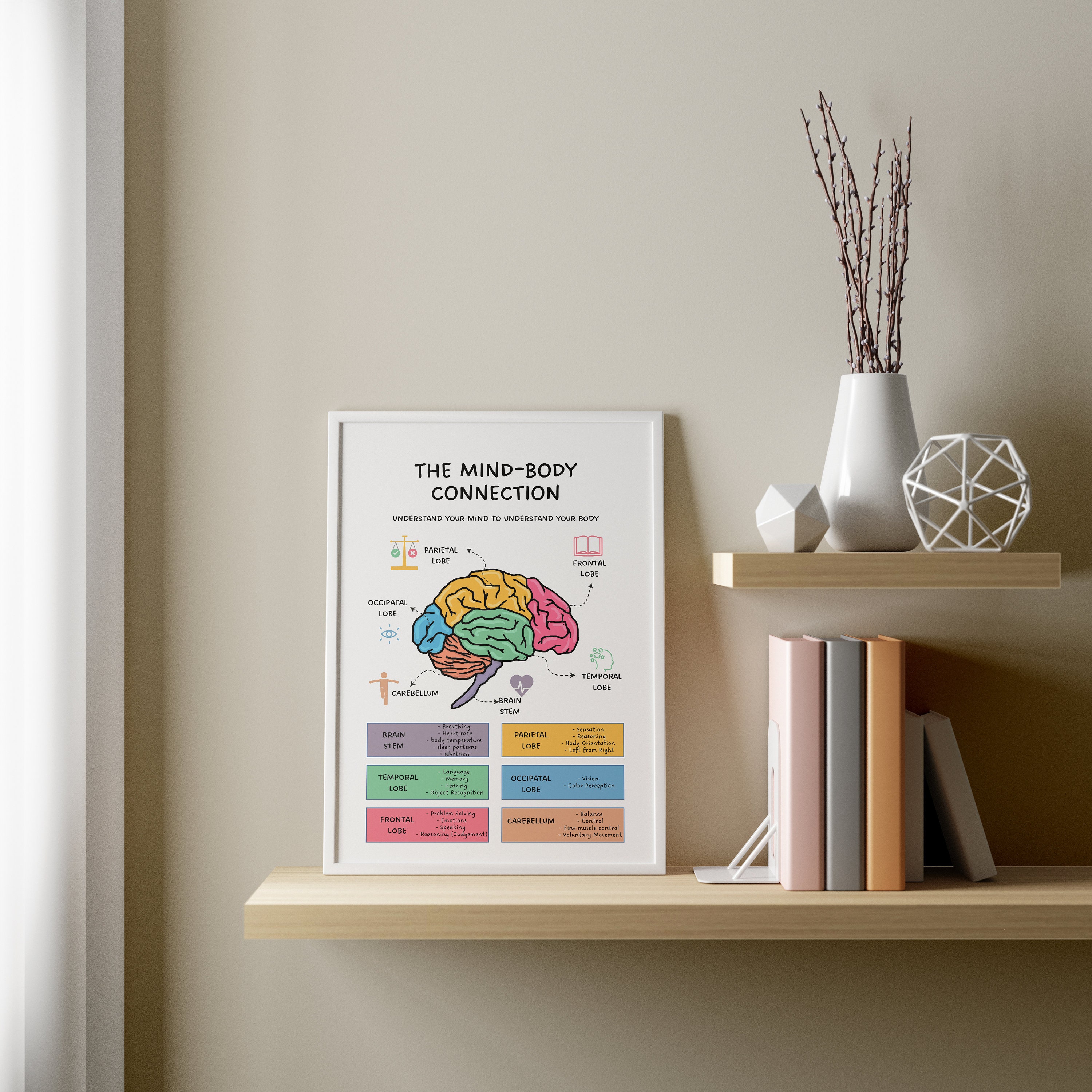 The Human Brain Poster Brain Anatomy Mind Psychology - Etsy
