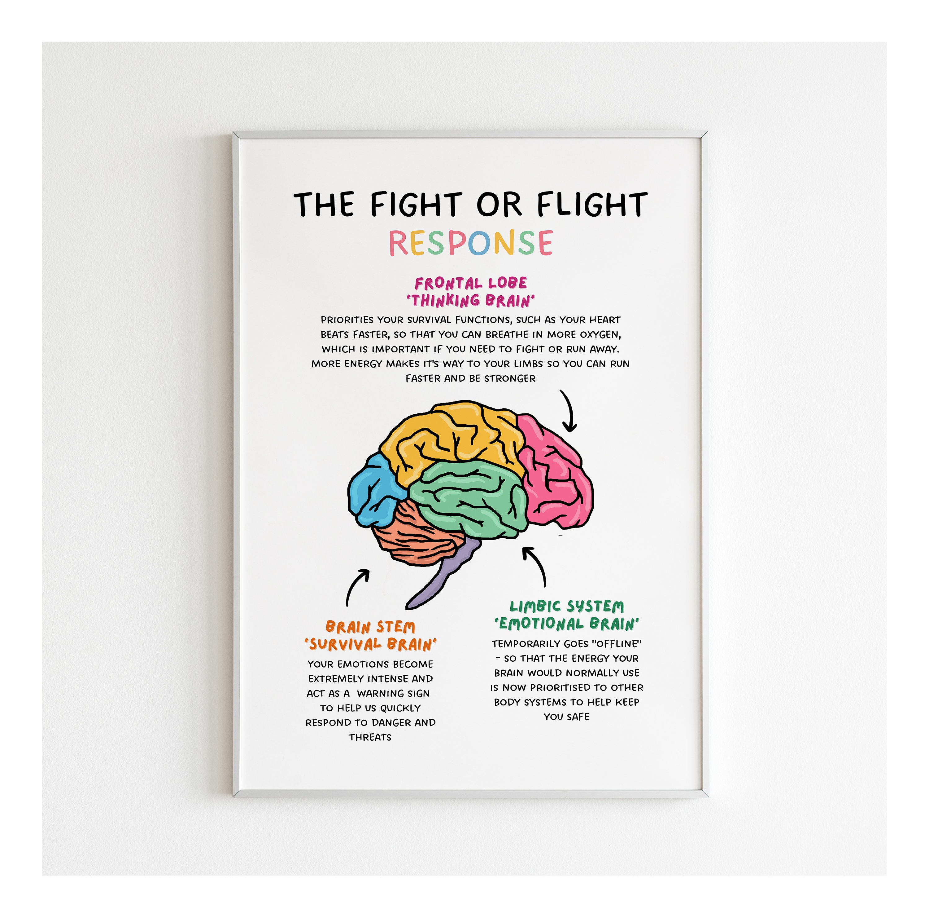 Fight or Flight Response Brain Anatomy Psychology Therapy Office Decor ...