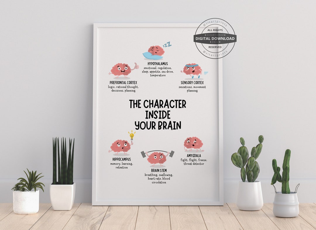 Brain Character | Brain Anatomy Psychology, Therapy Office Decor Mental ...