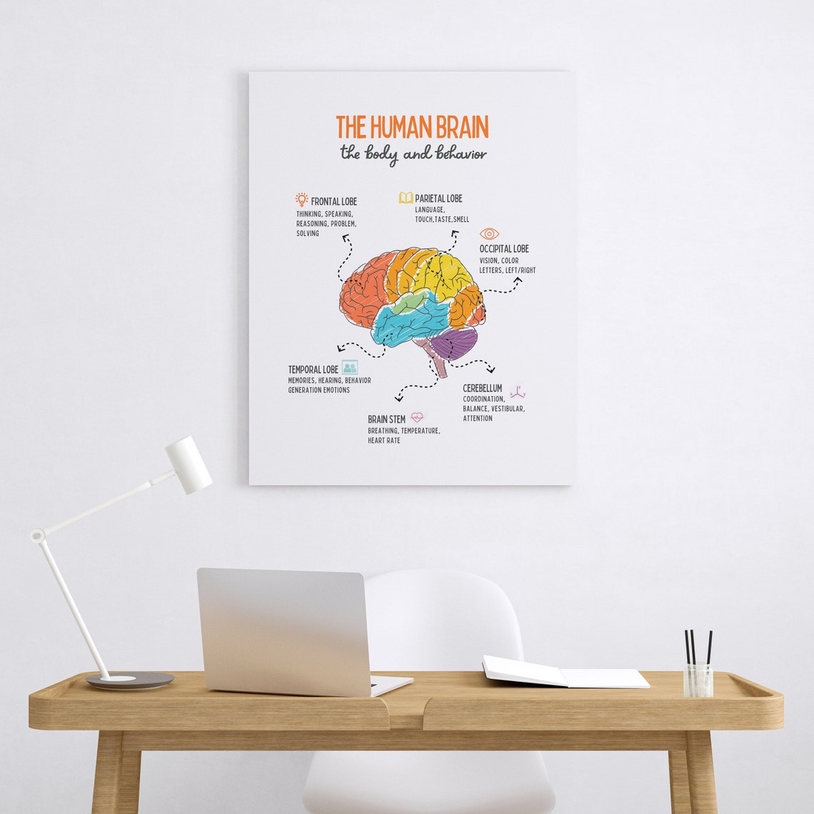 The Human Brain Poster Brain Anatomy Psychology Therapy - Etsy