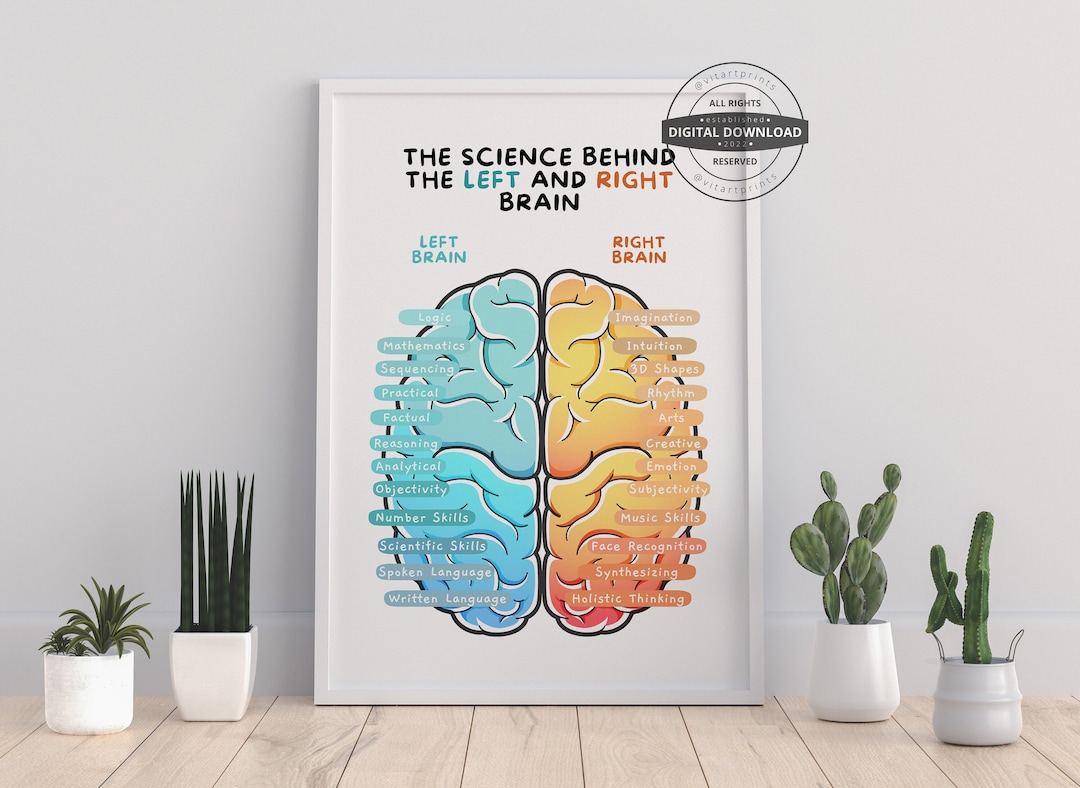 Human Brain Poster | Left Right Brain Science Anatomy Psychology ...