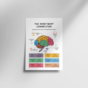 Human Brain Anatomy Poster | Psychology Therapy Office Decor (digital ...