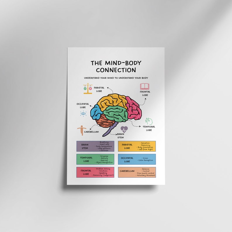 The Human Brain Poster Brain Anatomy Mind Psychology - Etsy