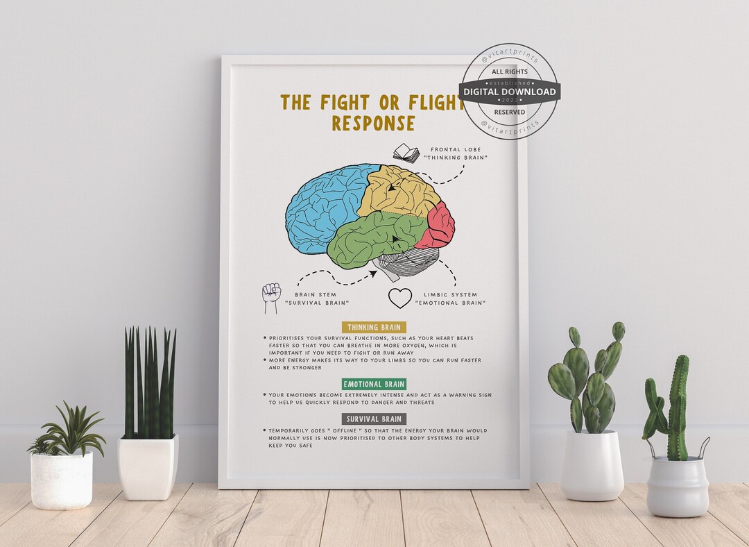 Fight or Flight Response Brain Anatomy Psychology Therapy Office Decor ...