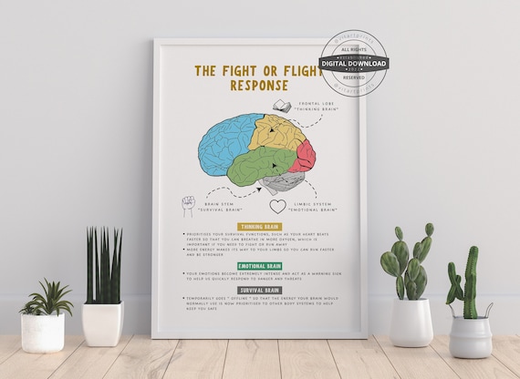 Fight or Flight Response Brain Anatomy Psychology Therapy - Etsy UK