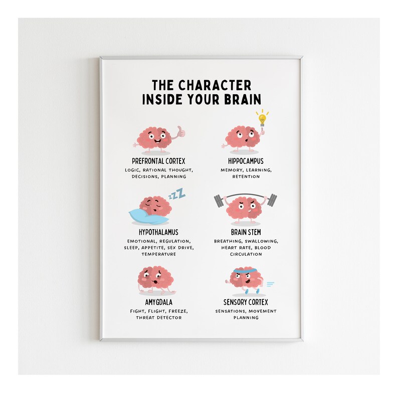 Brain Character Poster Brain Anatomy Psychology Therapy - Etsy