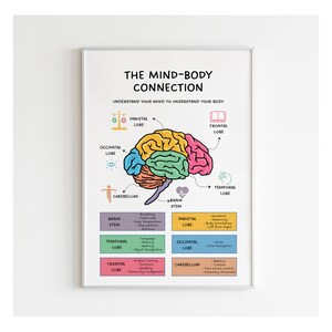 The Human Brain Poster | Brain Anatomy, Mind Psychology, Therapy Office ...