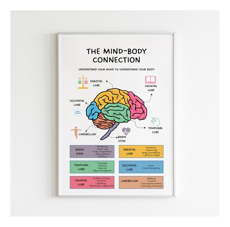 The Human Brain Poster Brain Anatomy, Mind Psychology, Therapy Office ...
