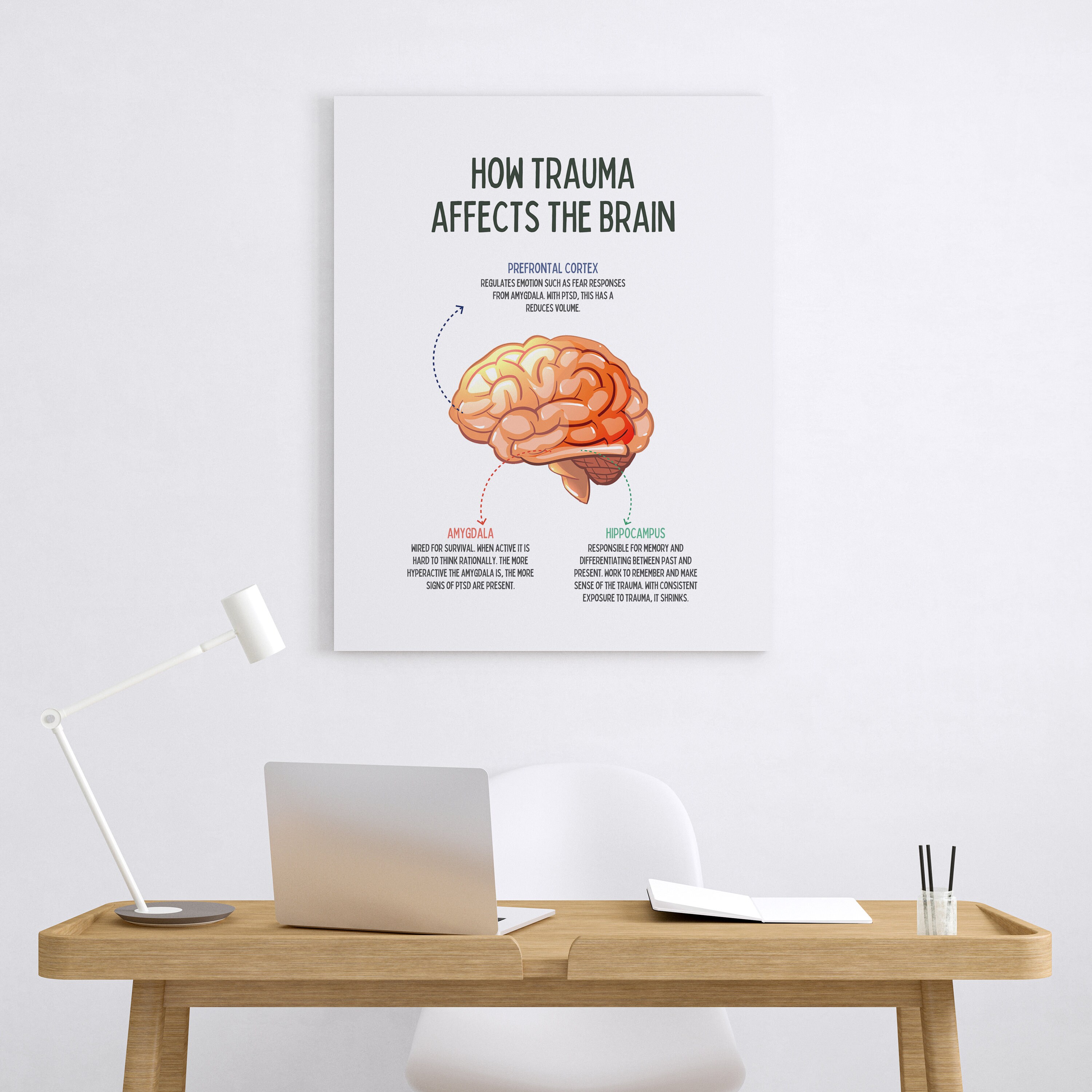 How Trauma Affect Brain Office Decor Therapy Office School - Etsy