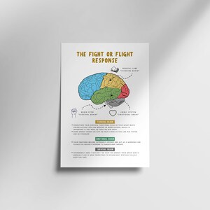 Fight or Flight Response Brain Anatomy Psychology Therapy Office Decor ...