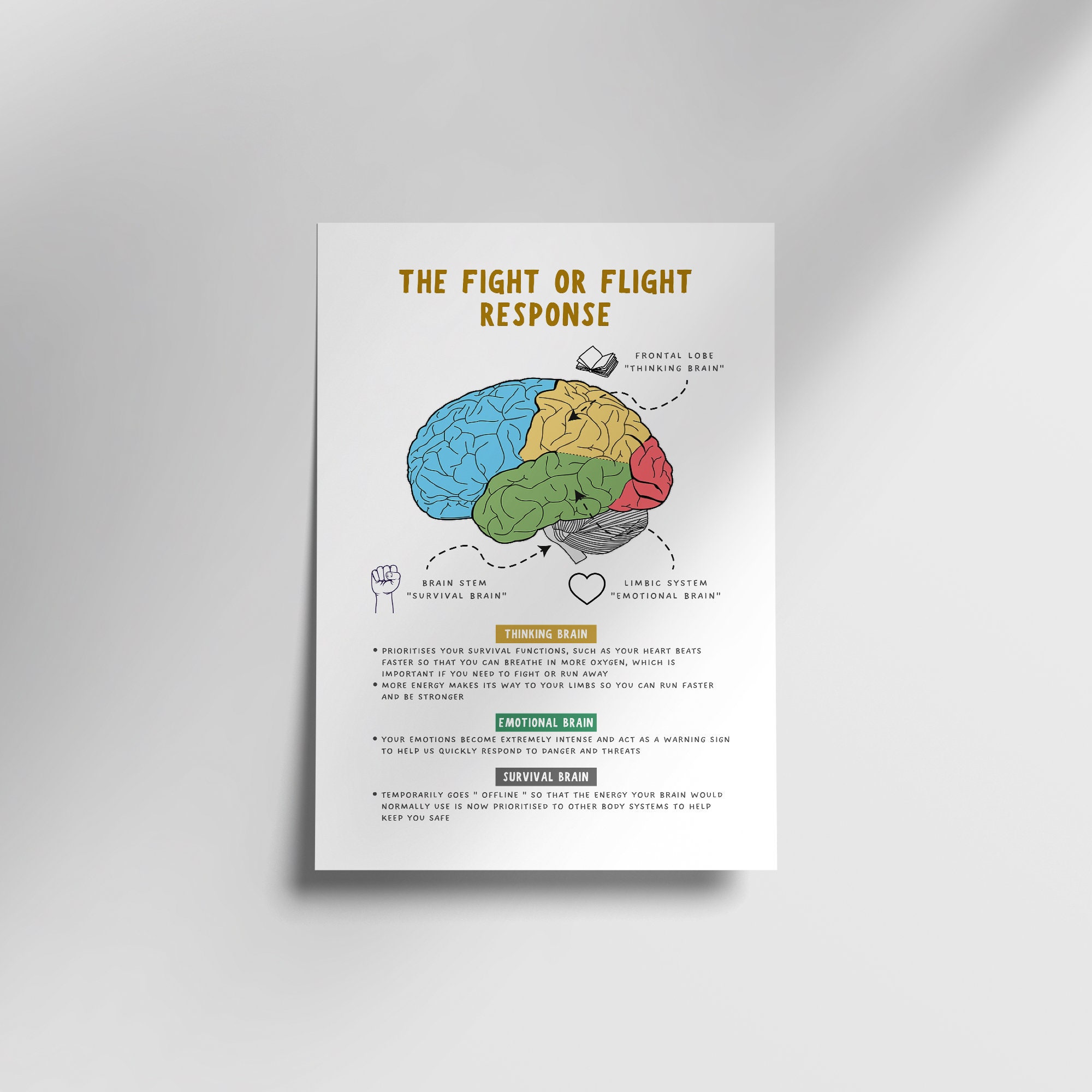 Fight or Flight Response Brain Anatomy Psychology Therapy - Etsy UK