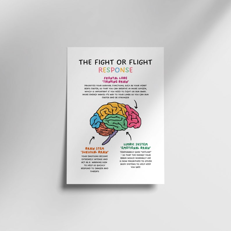 Fight or Flight Response Brain Anatomy Psychology Therapy Office Decor ...