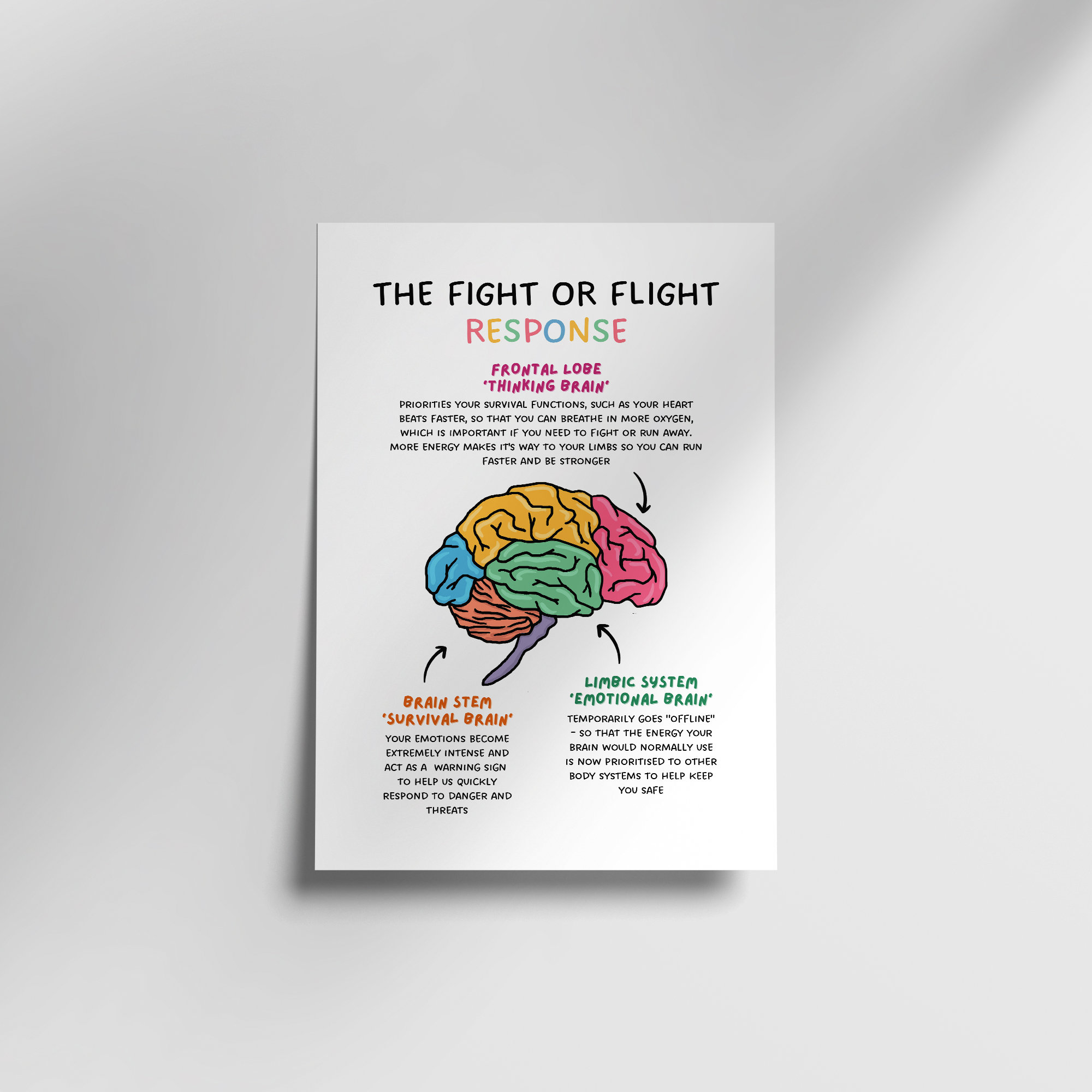 Fight or Flight Response Brain Anatomy Psychology Therapy - Etsy Australia