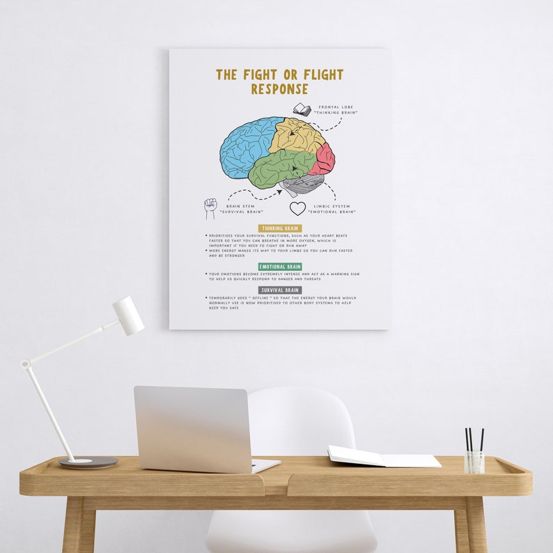 Fight or Flight Response Brain Anatomy Psychology Therapy - Etsy