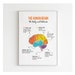 The Human Brain Poster Brain Anatomy, Psychology, Therapy Office Decor ...