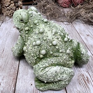 Warty Frog, Toad, Little Frog Prince, Frog Statue, Concrete Frog ...