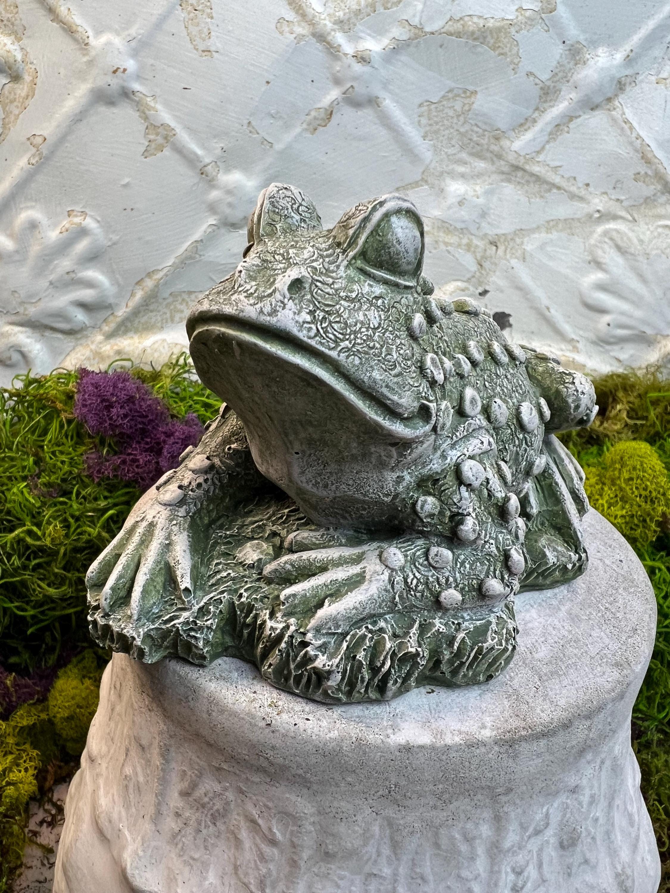 Warty Frog, Toad, Little Frog Prince, Frog Statue, Concrete, Stone Frog ...