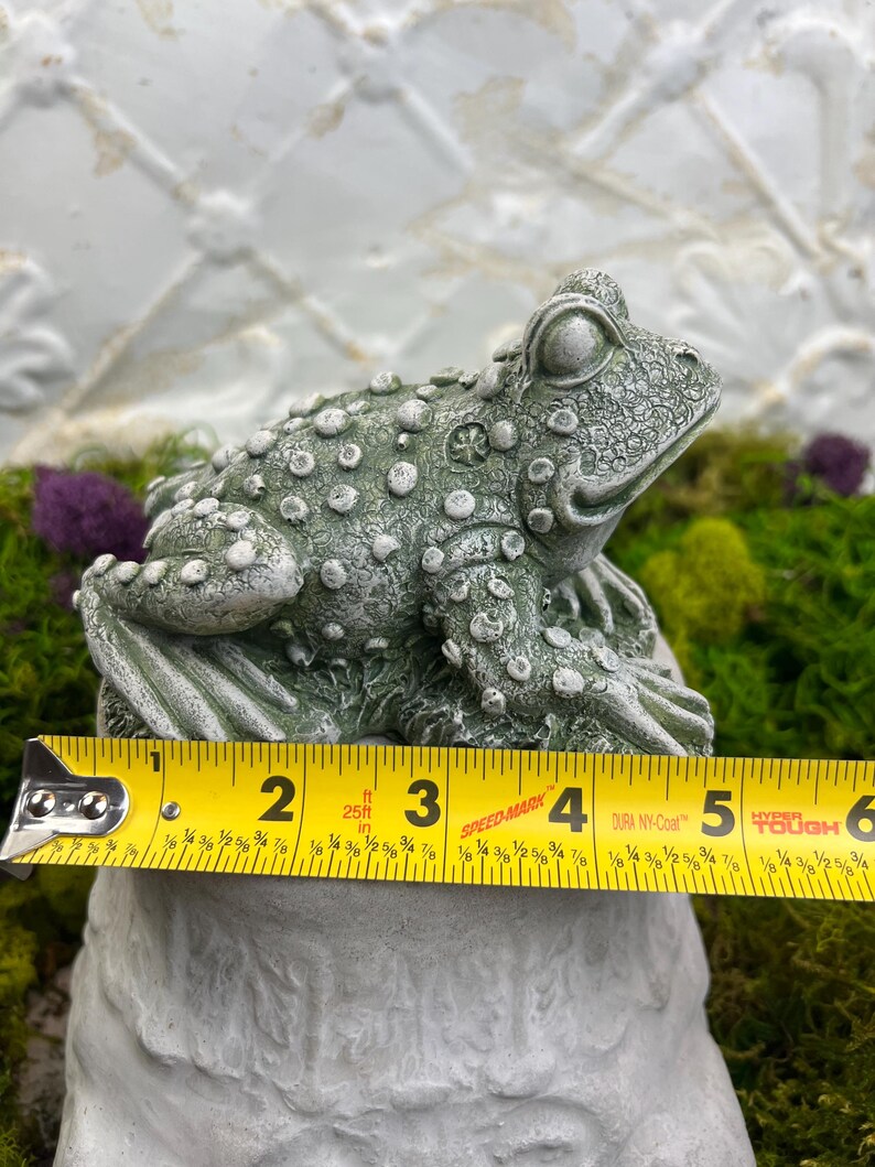 Warty Frog, Toad, Little Frog Prince, Frog Statue, Concrete, Stone Frog ...