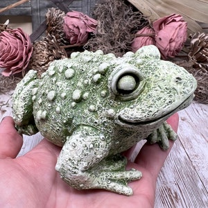 Warty Frog, Toad, Little Frog Prince, Frog Statue, Concrete Frog ...