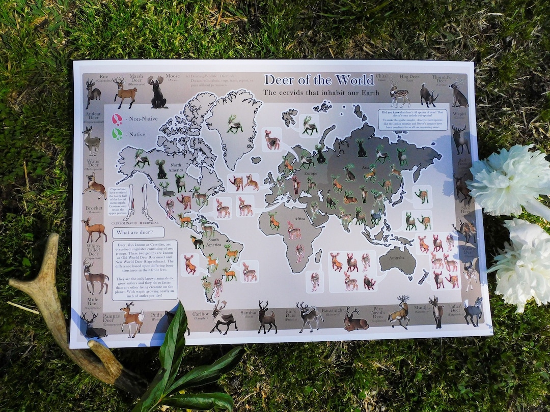 Deer of the World Map - Etsy