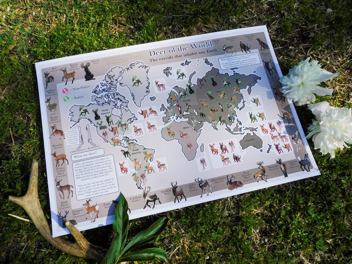 Deer of the World Map - Etsy