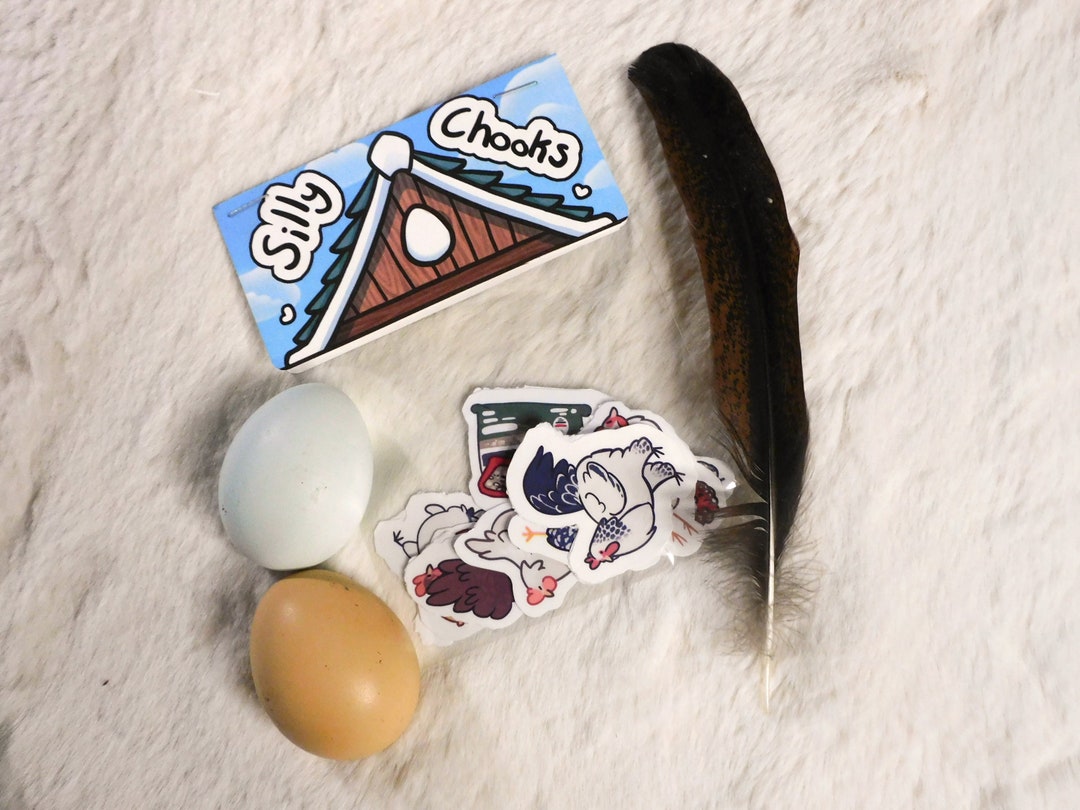 Silly Chook Sticker Pack - Etsy