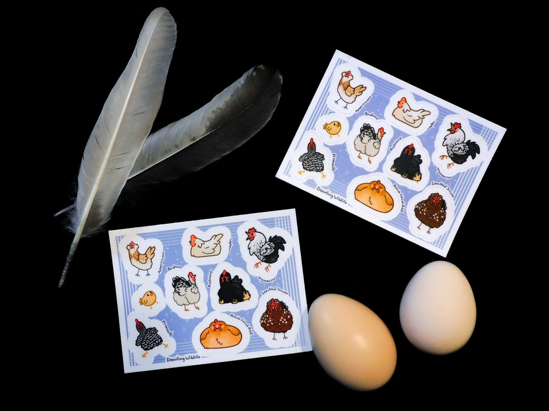 Silly Chook Sticker Set - Etsy