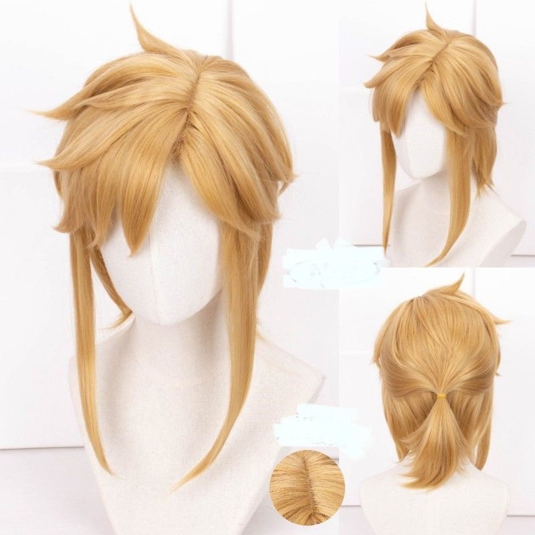 Link Zelda Tears of Kindgom Cosplay - Etsy