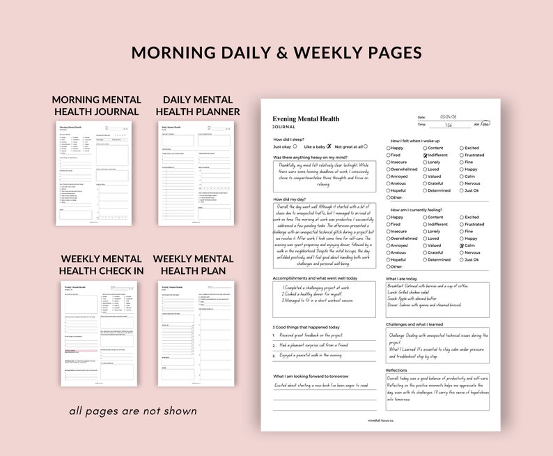 Daily Mental Health Check in |printable Journal |daily Journal ...