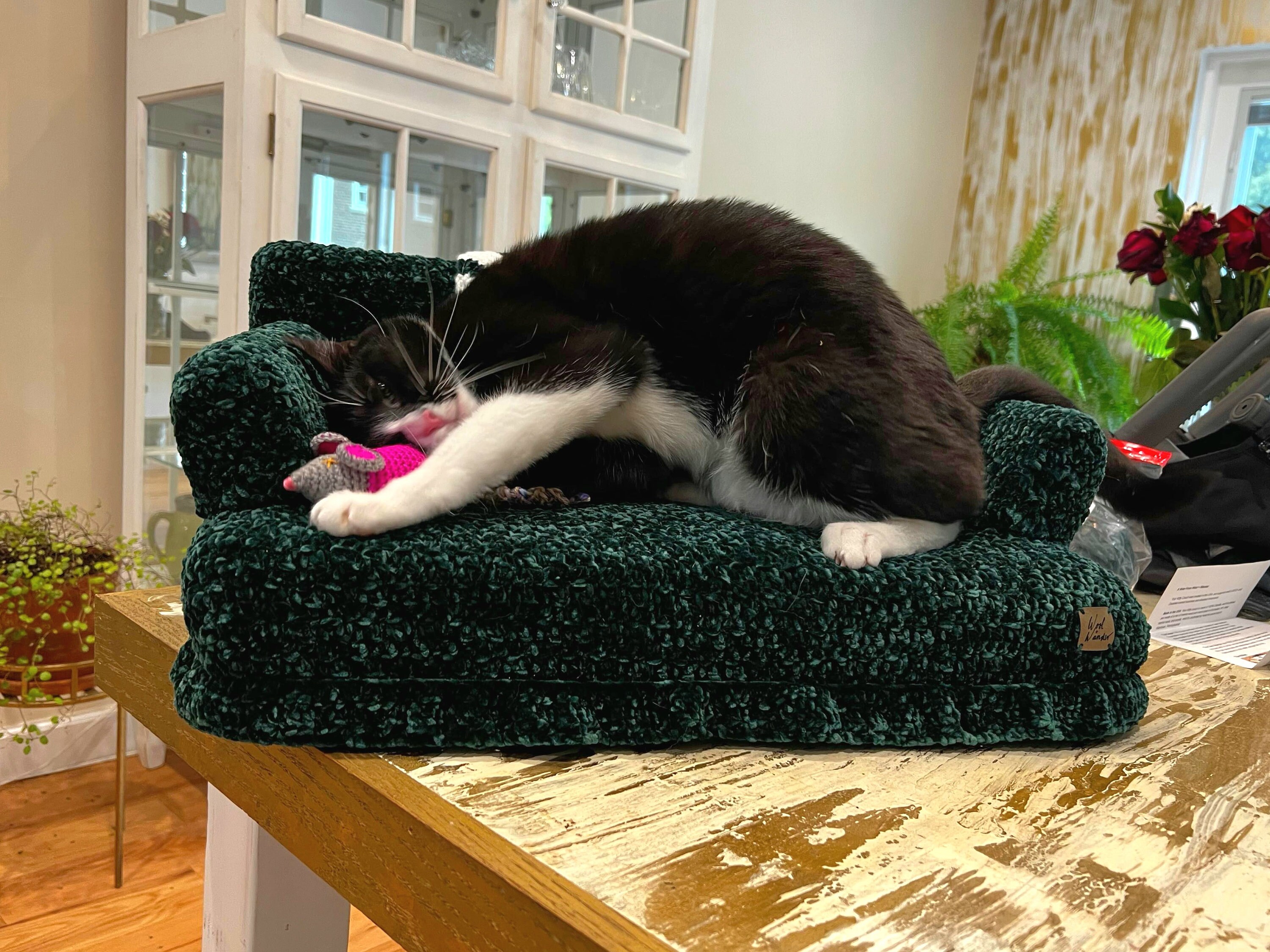 Cat Couch Kitty Couch Crochet Cat Bed Extra Soft Chenille | With ...