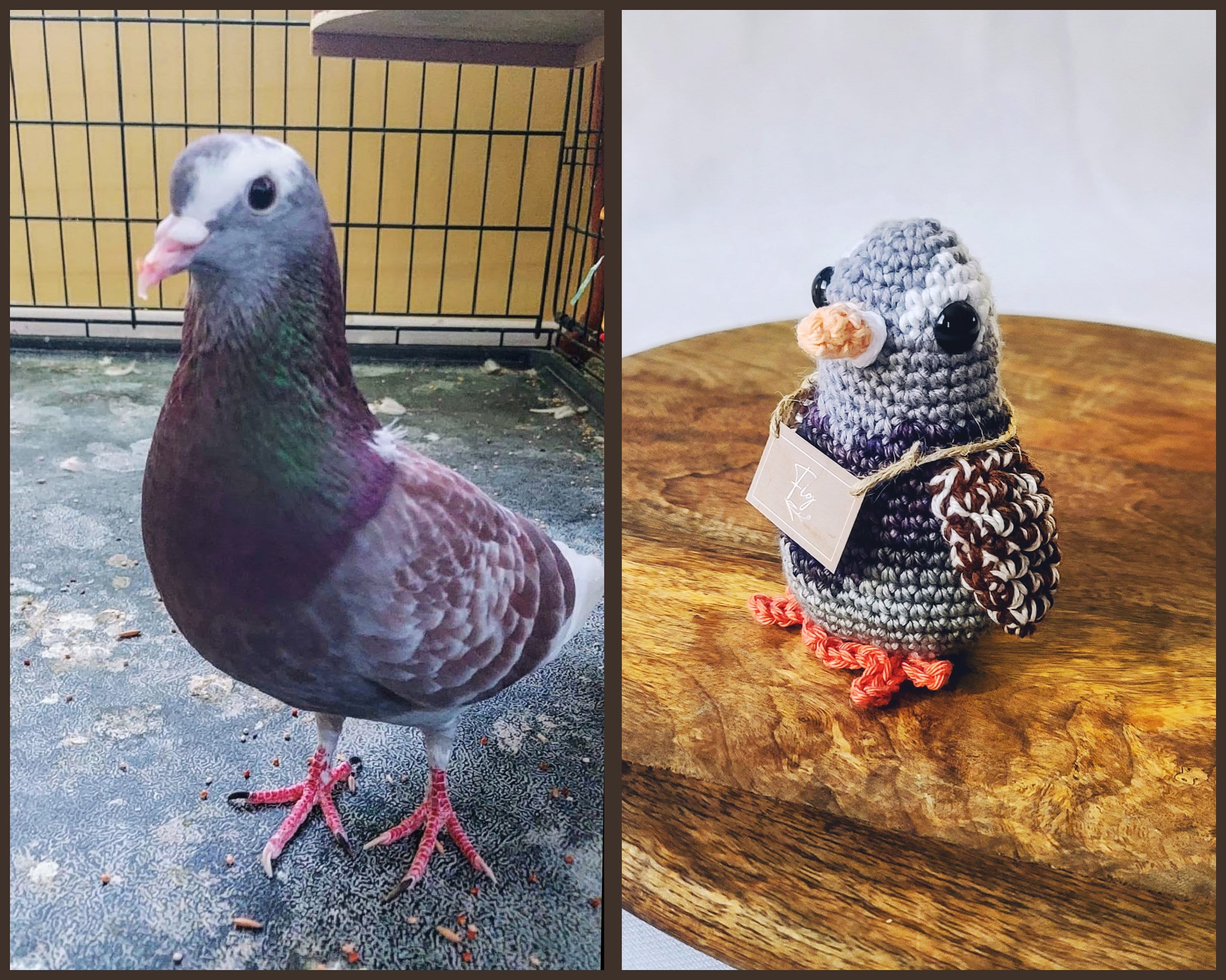 Custom Pigeon Plushie W/ Nametag | Amigurumi Crochet | Ecofriendly ...