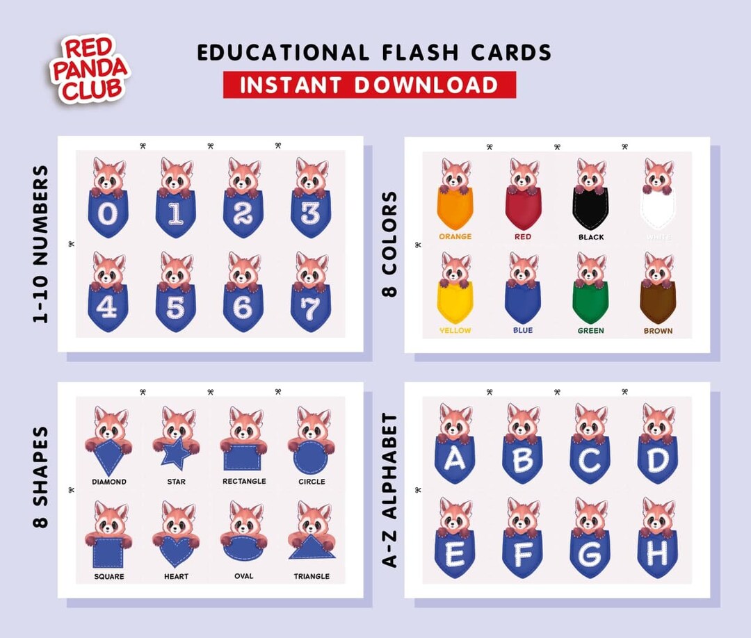 Custom Printable hand Drawing Educational Flashcards Bundle for Kids - Etsy