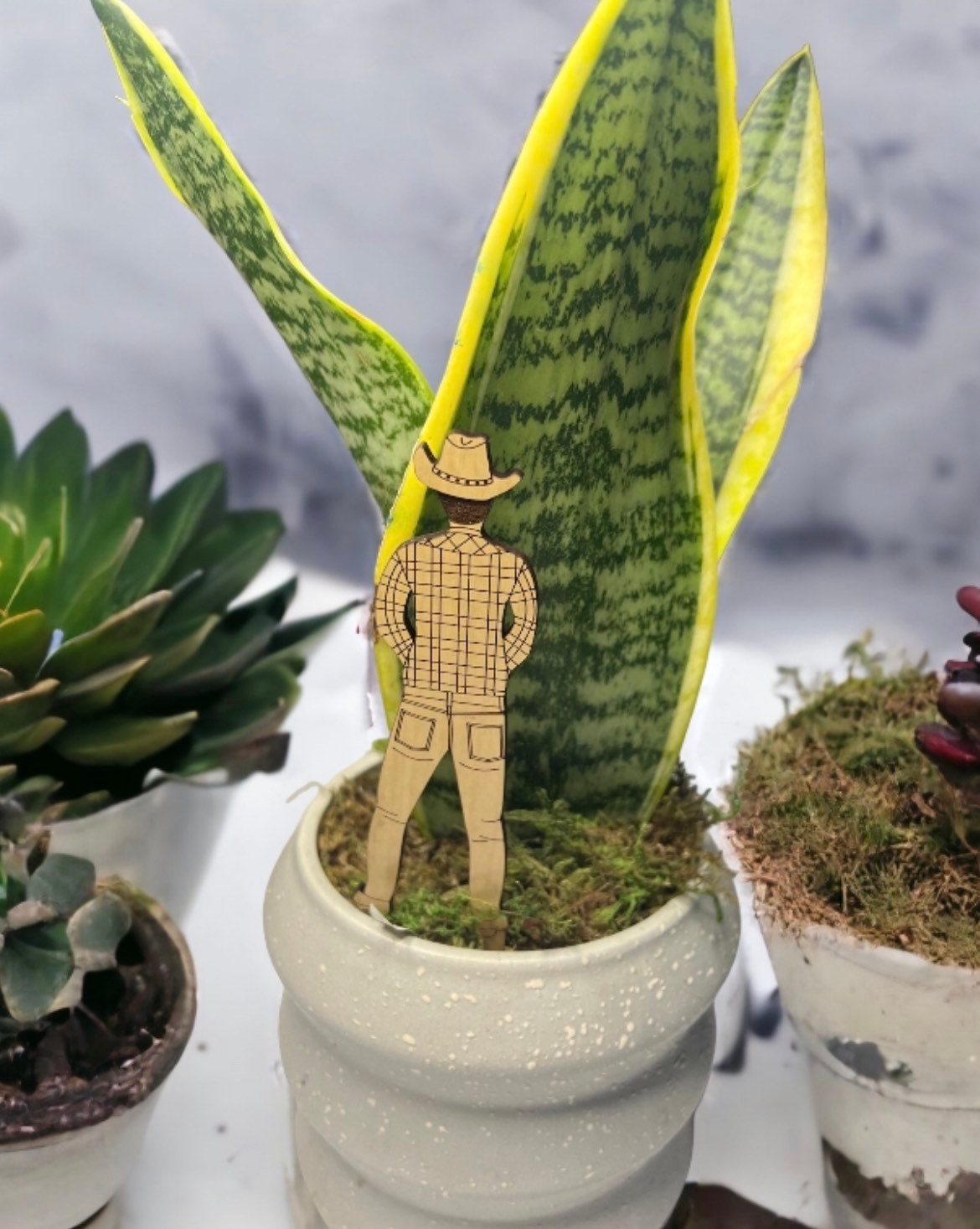 Cowboy Peeing Plant Stake/funny Plant Stake/gift Idea for Her/mother’s ...