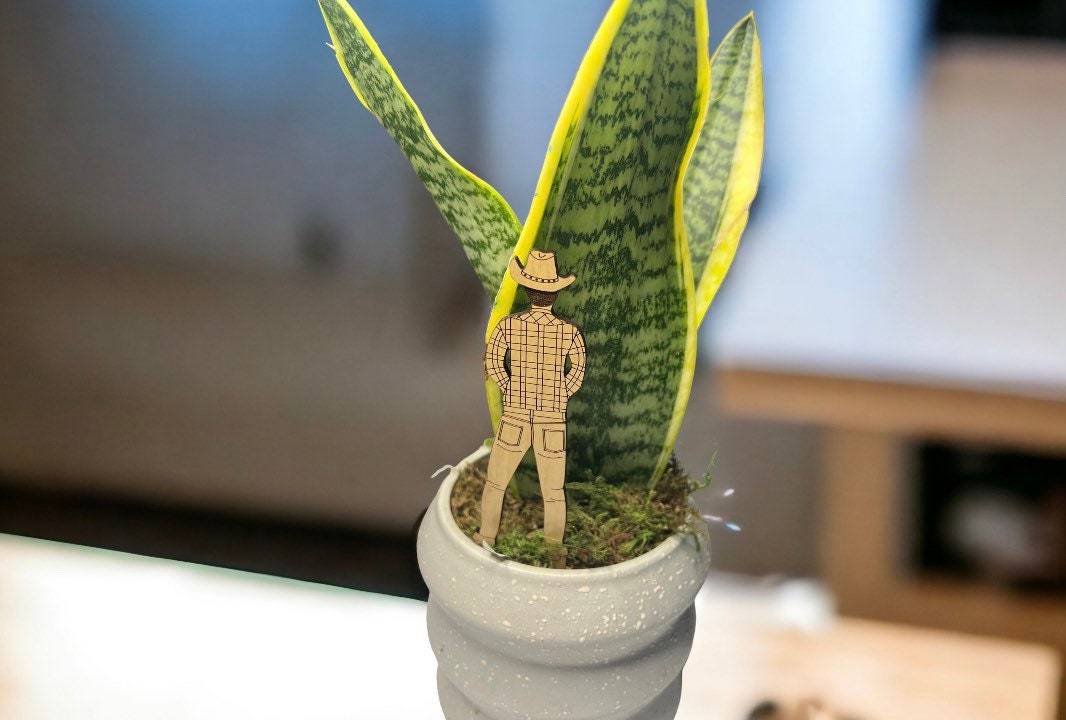 Cowboy Peeing Plant Stake/funny Plant Stake/gift Idea for Her/mother’s ...