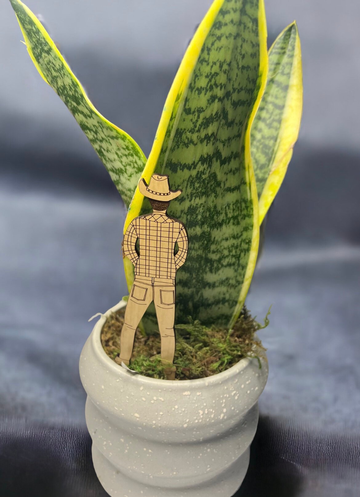 Cowboy Peeing Plant Stake/funny Plant Stake/gift Idea for Her/mother’s ...