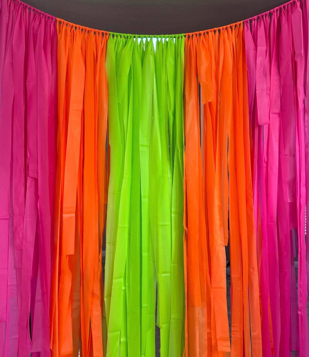 Tropical Fiesta Party Fringe Streamer Backdrop, Photo Wall, Birthday ...