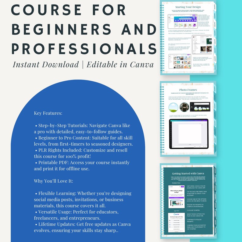 Ultimate Canva Mastery for Beginners: Pro Guide With PLR Printable PDF ...