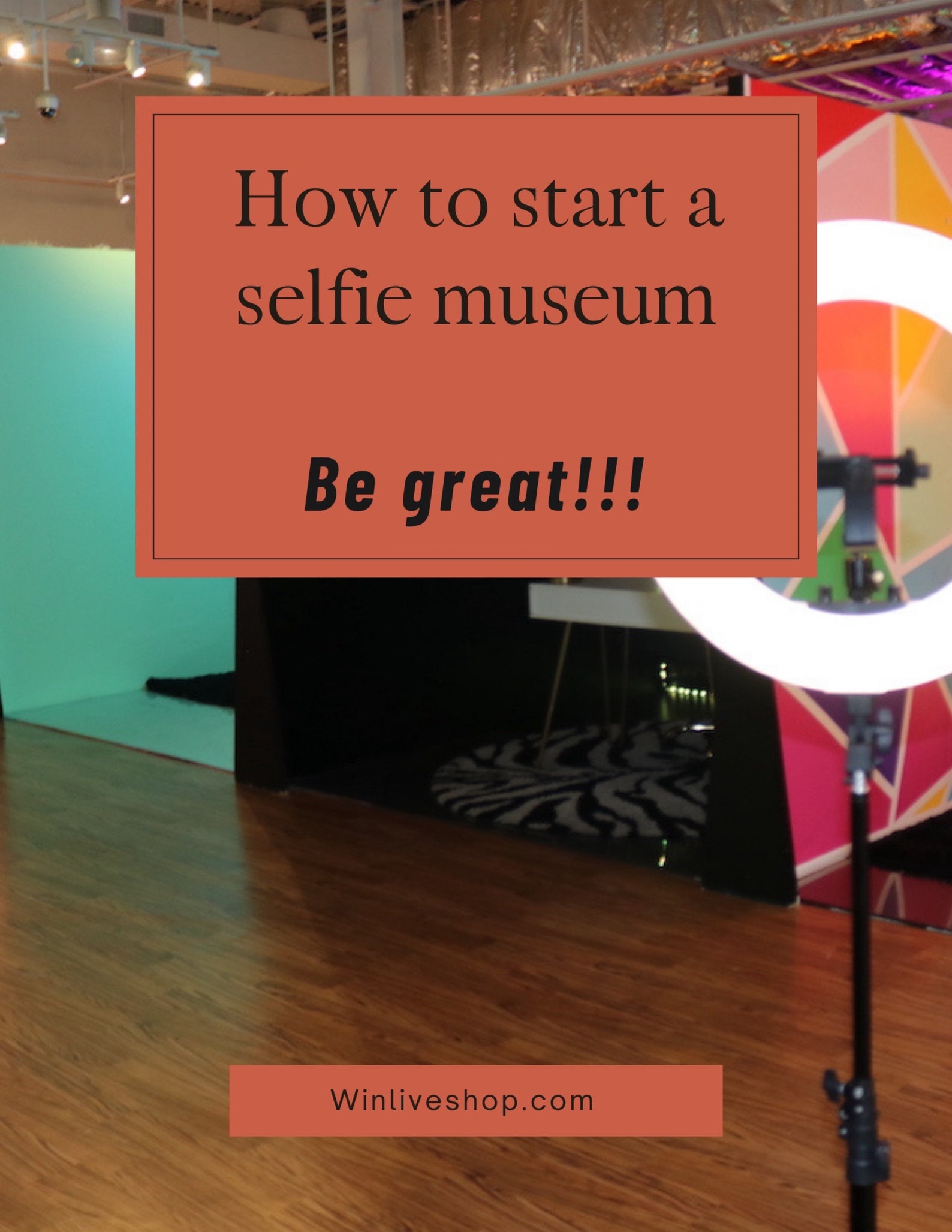 Launch Your Dream Selfie Museum, Plr Ebook, Launch Your Business ...
