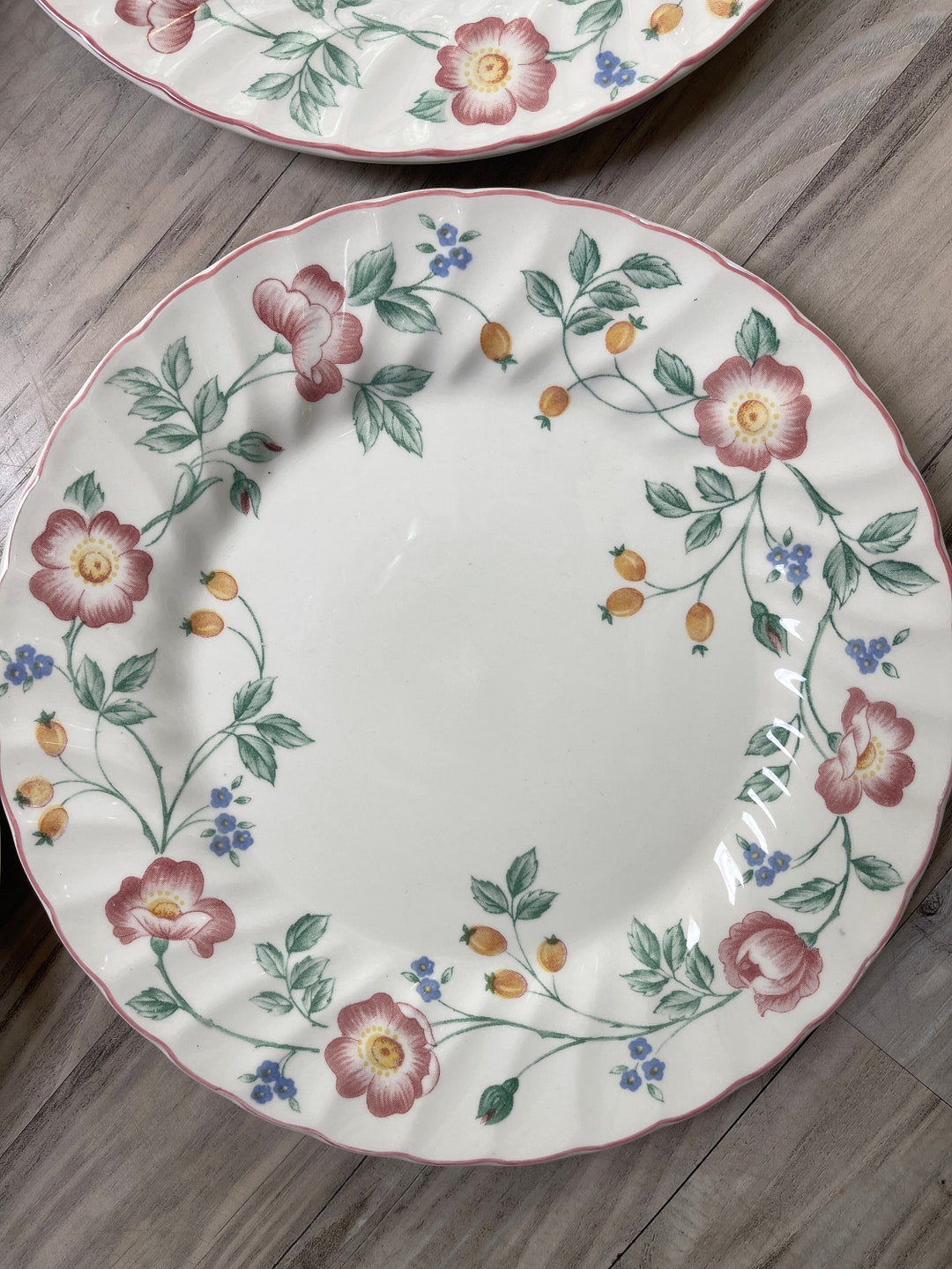 Set 6 Boho Floral Vintage Dinner Plates Briar Rose by Churchill England ...