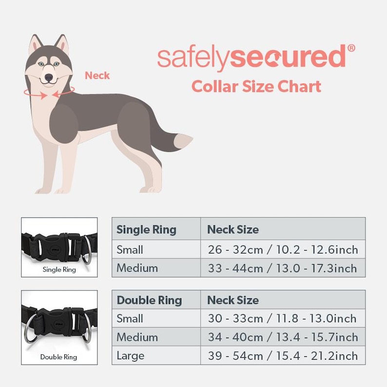 Safely Secured Anti-theft Lockable Dog Collar - Etsy