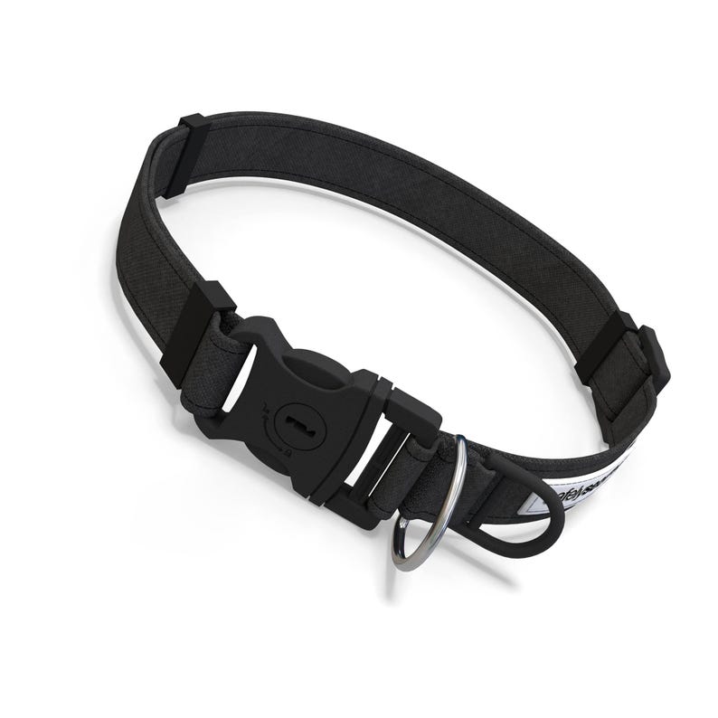Safely Secured Anti-theft Lockable Dog Collar - Etsy