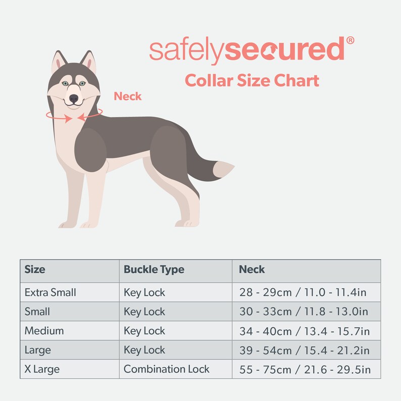 Safely Secured Anti-theft Lockable Dog Collar - Etsy