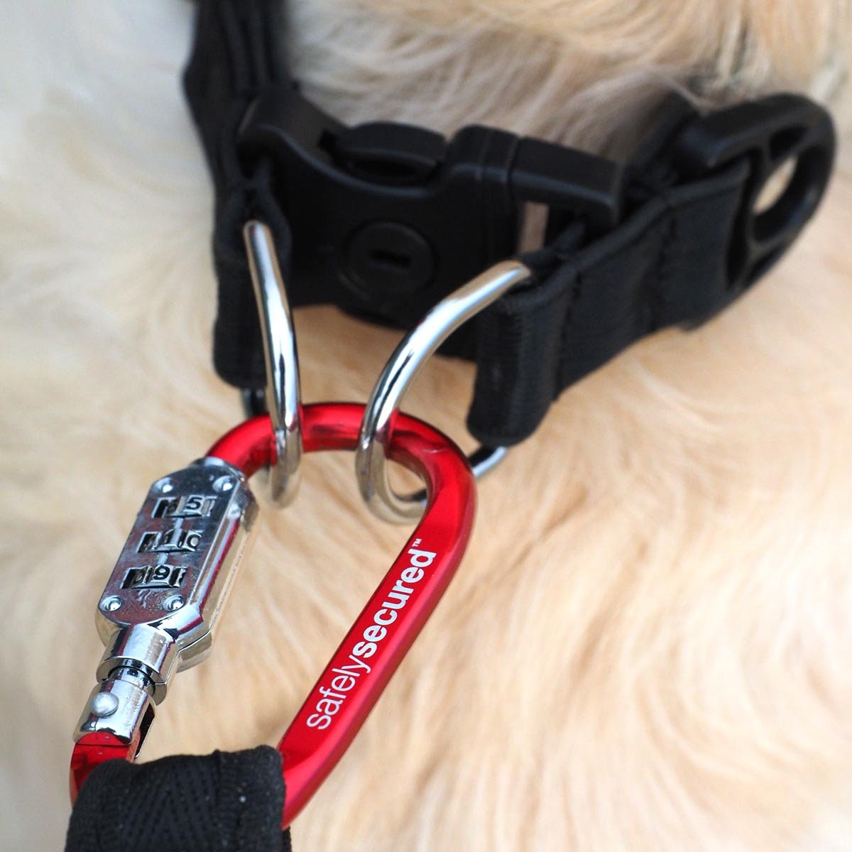 Safely Secured Anti-theft Lockable Dog Collar - Etsy