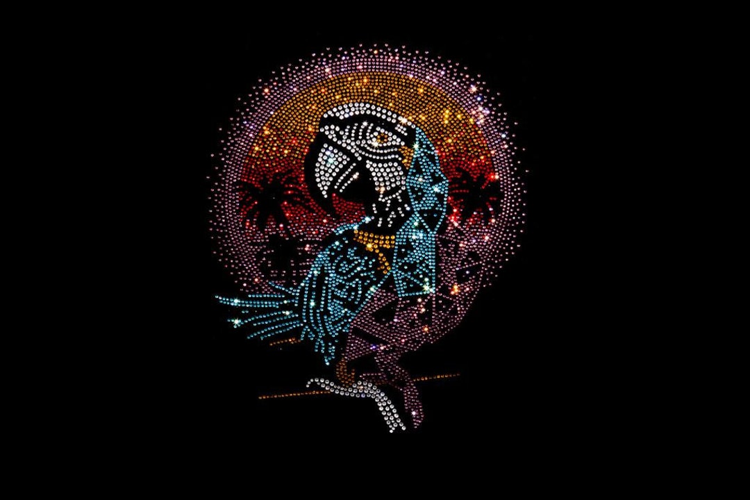 Parrot Crystal Iron on Rhinestone Design Transfers, Iron on Parrot ...