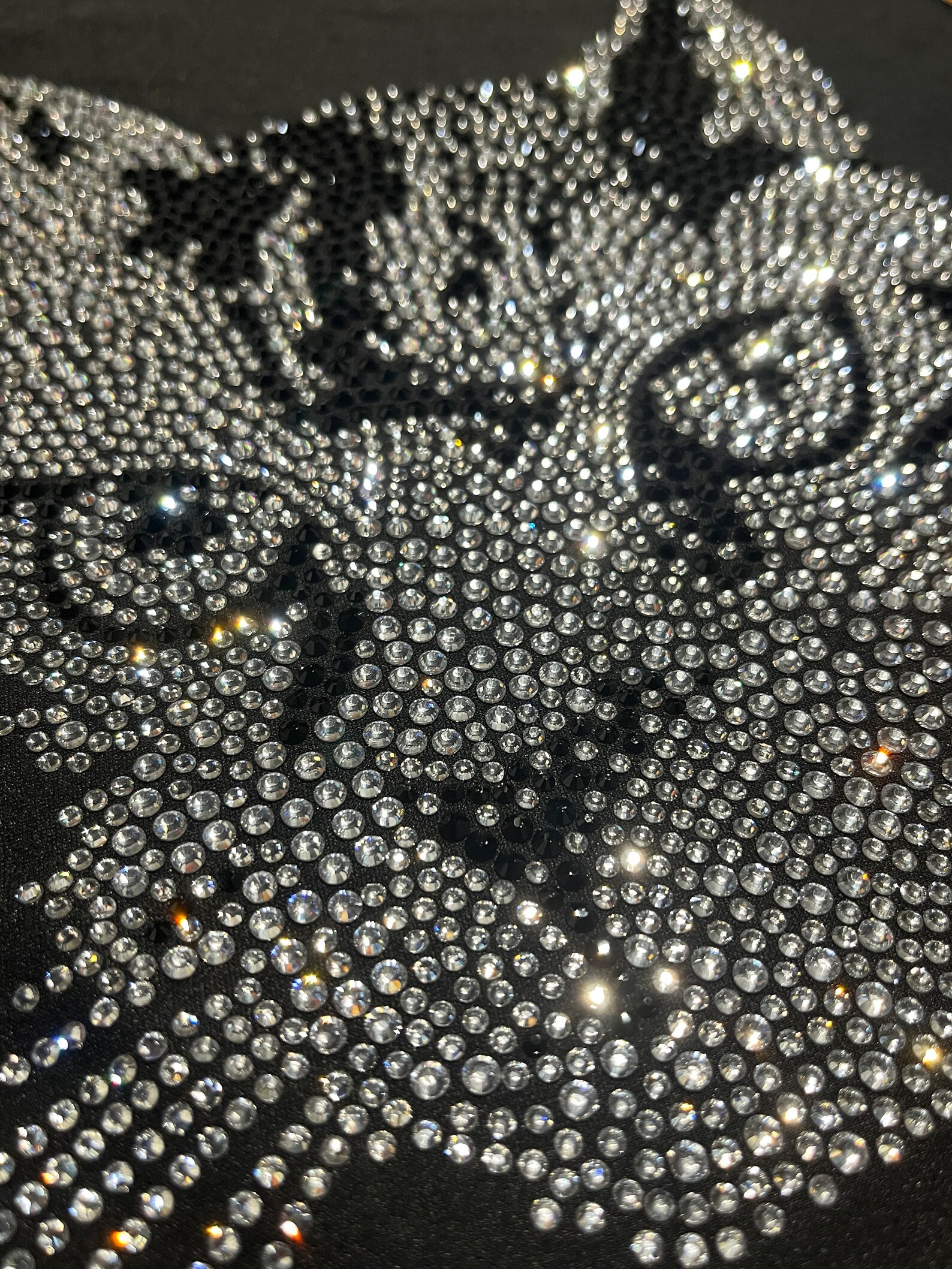 Crystal Rhinestone Cat Iron on Patch, Sparkly Kitten Applique (11x10 ...