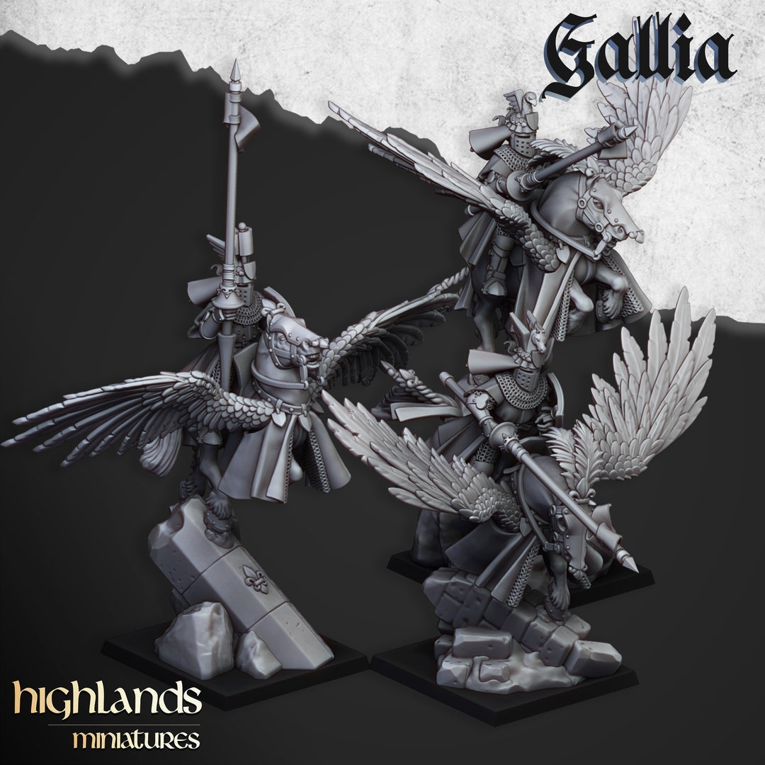 Pegasus Knight Unit of Gallia by Highland Miniatures - Etsy