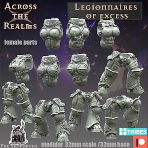 Legionaries of Excess by Across the Realms Miniatures - Etsy