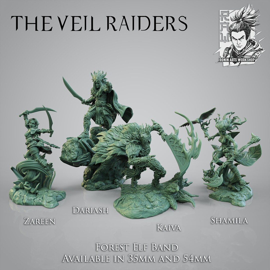 The Veil Raiders by Ronin Arts Workshop Miniatures - Etsy